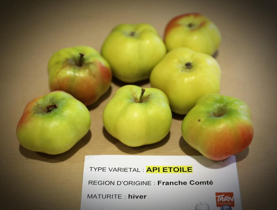 Tarn: Conservatoire Départemental d’Espèces Fruitières et Vignes Anciennes